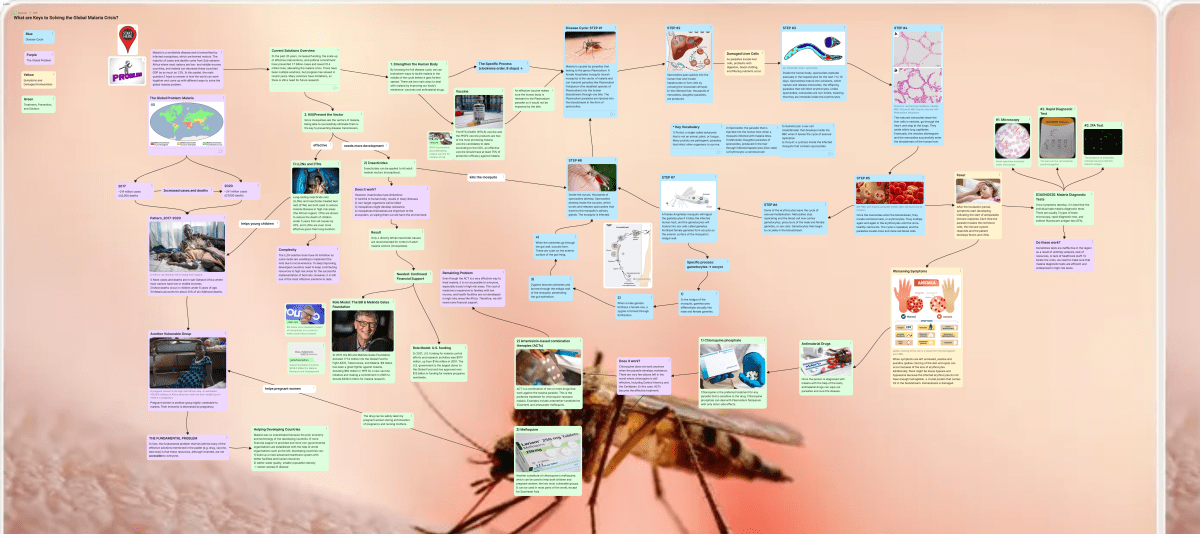 malaria-flowchart « LEO
